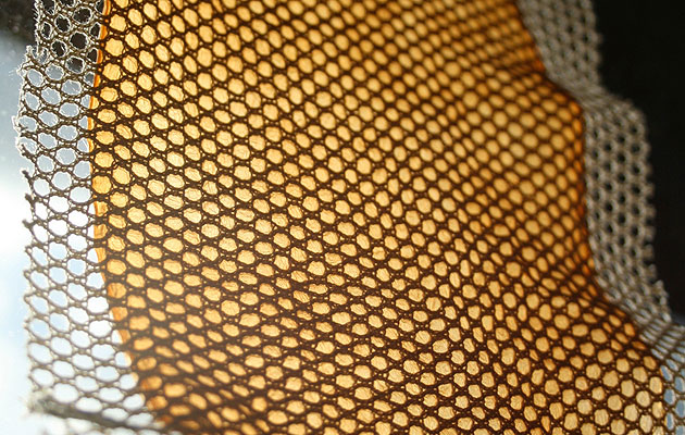 BioCouture by Suzanne Lee - ICON Magazine