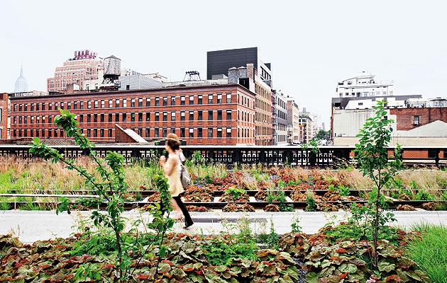 The High Line - ICON Magazine