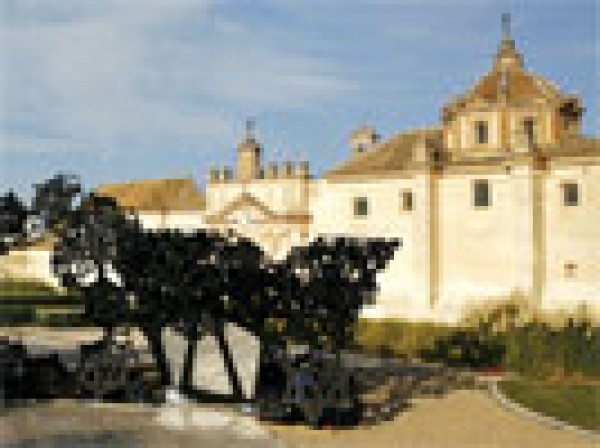 Aranda/Lasch - ICON Magazine