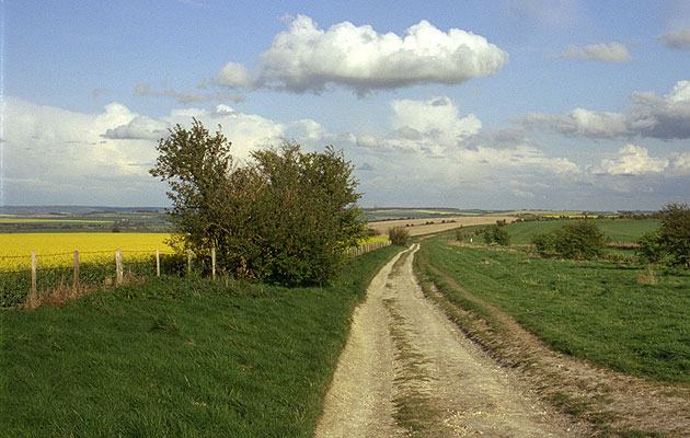 The Robinson Institute - ICON Magazine