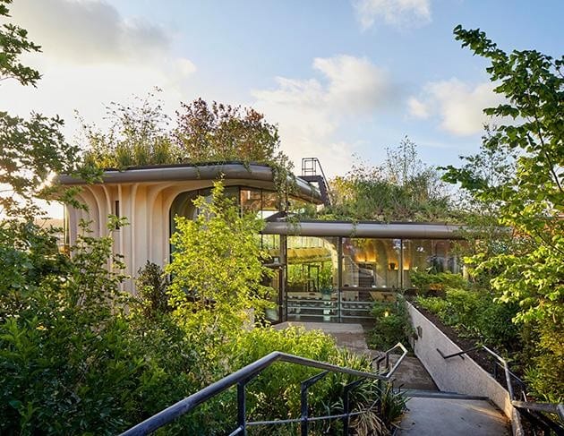 Heatherwick Studio's Maggie's Centre champions biophilic design in ...