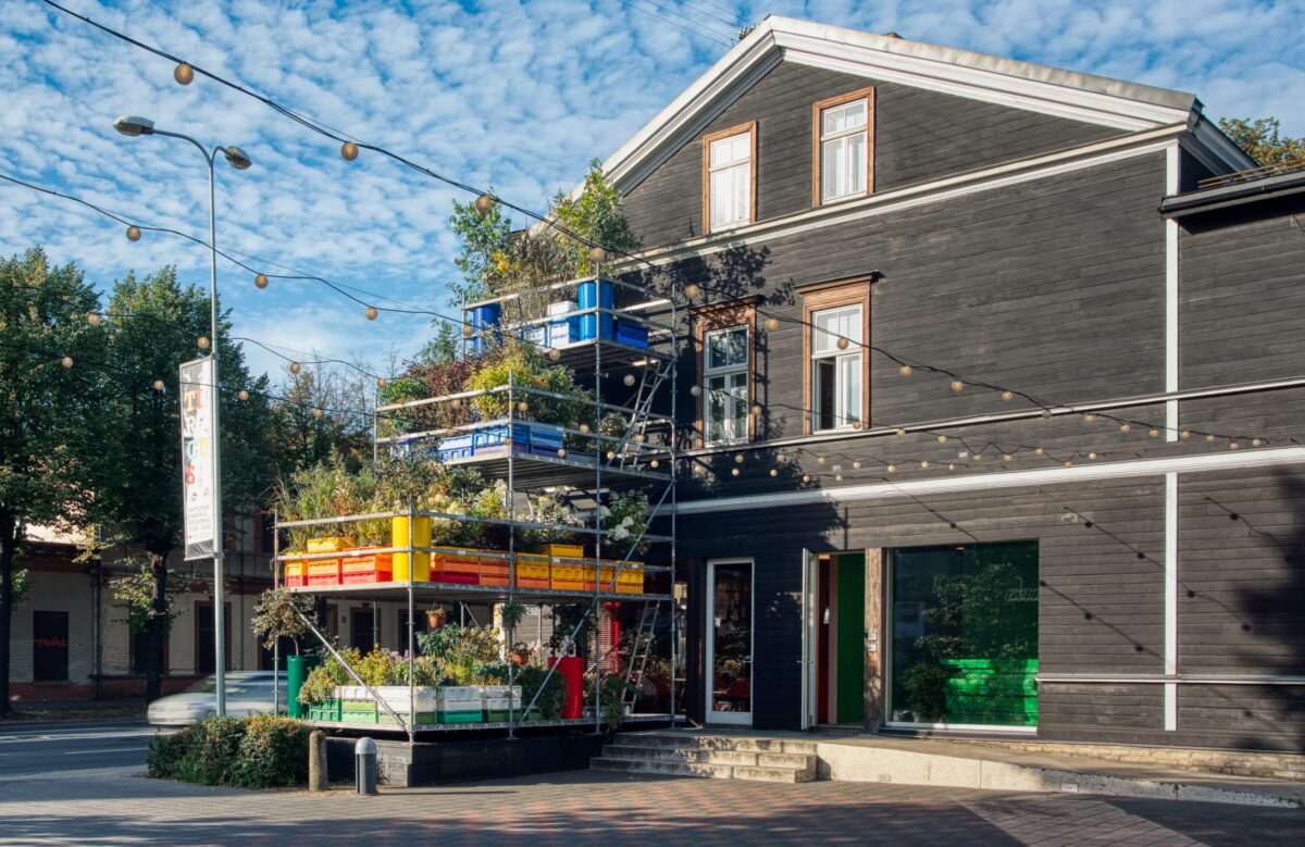Vertical garden in Riga tests out impact of pollution on urban ...